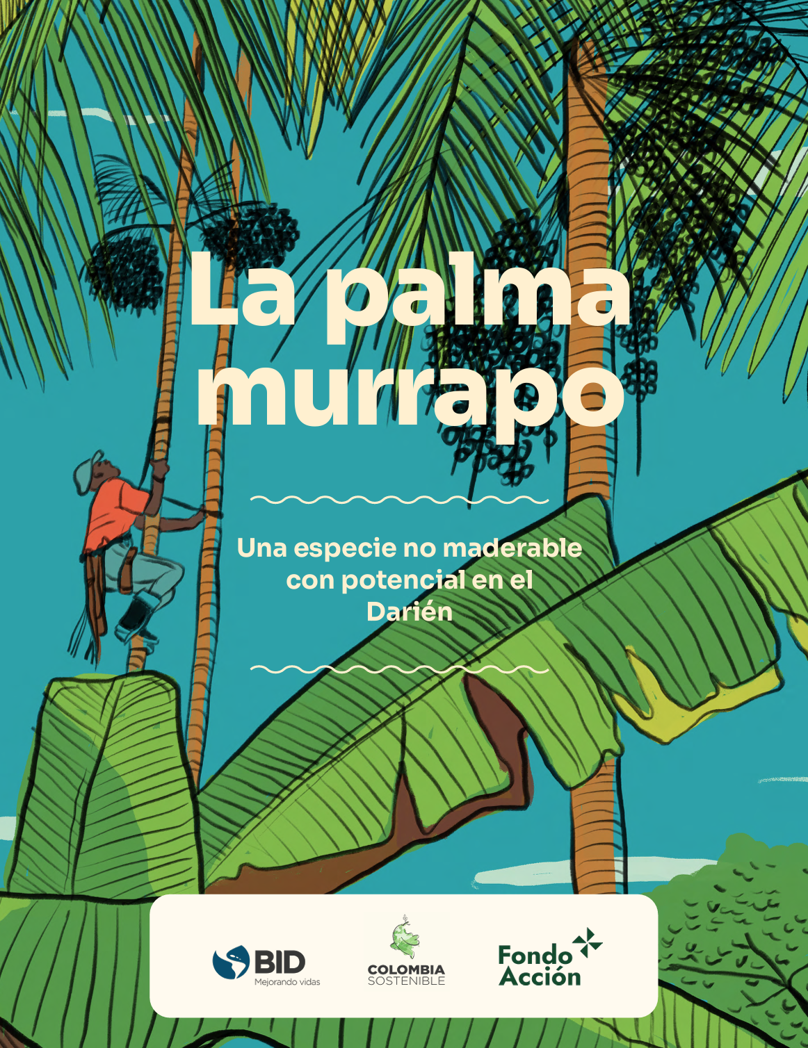 Fondo Acción | La Palma murrapo: una especie no maderable con potencial ...